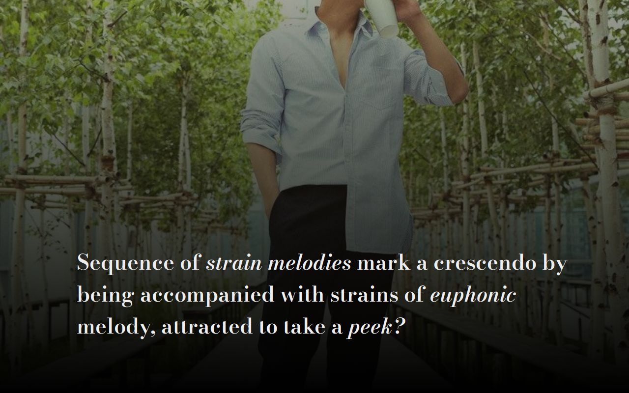 A strain of mellifluous sound.